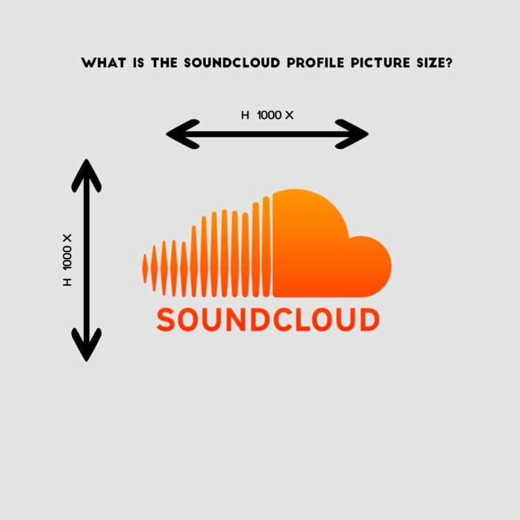 Wich The Best SoundCloud Profile Picture Size 1000X / 1000X